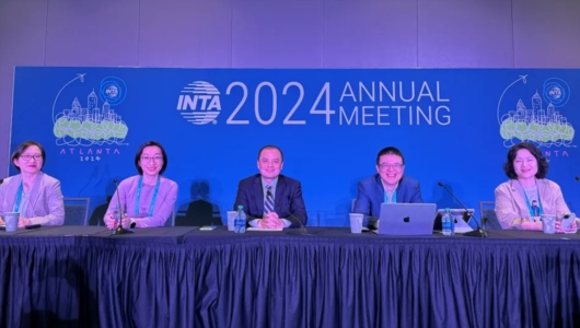 WANHUIDA INTELLECTUAL PROPERTY