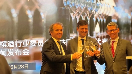 WANHUIDA INTELLECTUAL PROPERTY