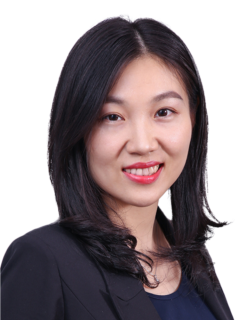 WANHUIDA INTELLECTUAL PROPERTY